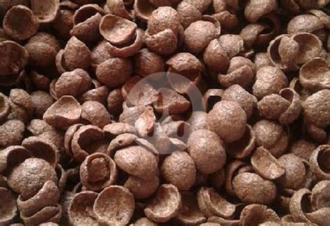 30 Restoran Chip Choco Paling Enak