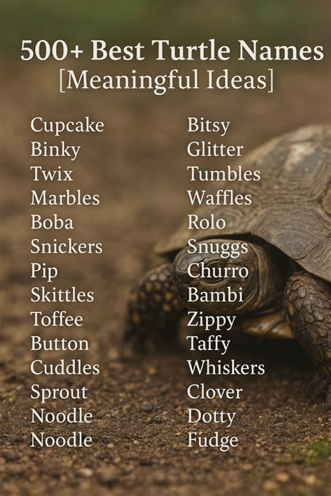 500 Best Turtle Names Meaningful Ideas 2025