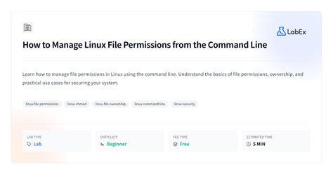 how to manage linux file permissions from the command line labex