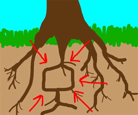 Square Root Drawception