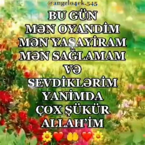 Samire Hesenli Youtube