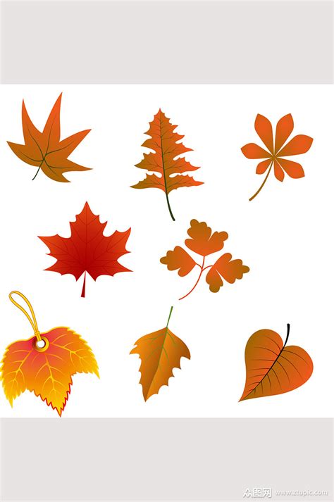 树叶打印图片 树叶模板打印 大山谷图库