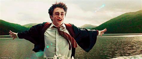Harry Potter And The Prisoner Of Azkaban  Wiffle
