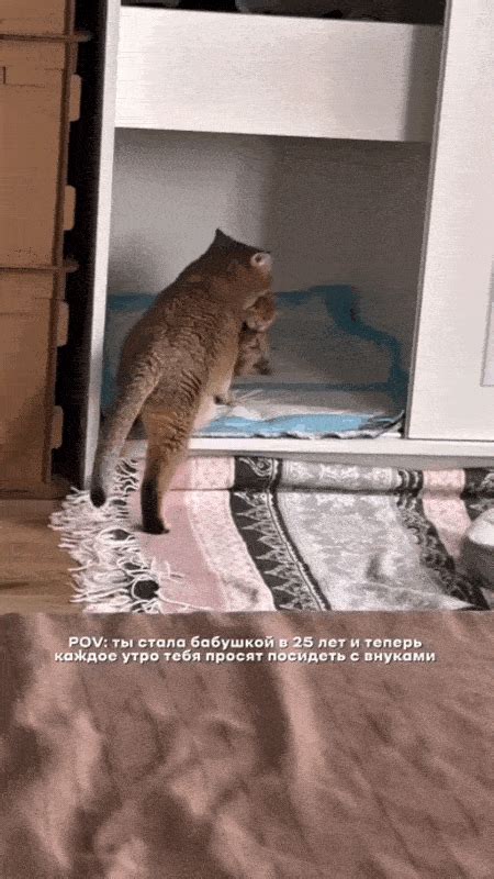 60 Hilarious S That Capture The Funniest Moments Every Day Barnorama