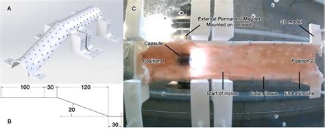 A Colon Incline Phantom With A Straight And An Inclined Section At 20 Download Scientific