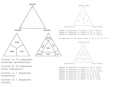 Ppt Steps Of The Phylogenetic Analysis Powerpoint Presentation Free