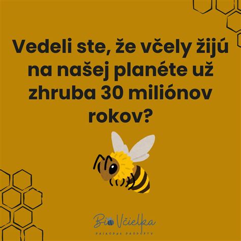 Bio Včielka Bio Včielka Added A New Photo