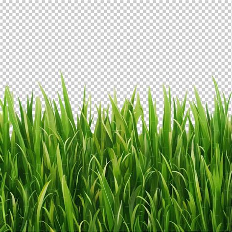 Page 9 Nature Green Grass Psd High Quality Free Psd Templates For