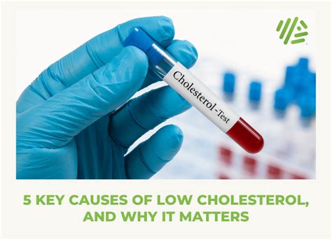 Signs Cholesterol Is Too Low At Marcus Riedel Blog