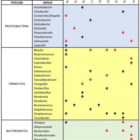 Comprehensive View Of The Effect Of Cimds On Bacterial Composition Of