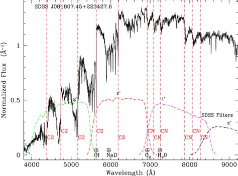 Spectrum Of A Typical Dc Star This Sdss Spectrum Of Sdss Download Scientific Diagram