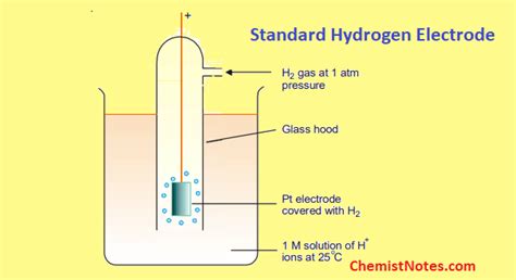Draw A Neat And Well Labelled Diagram Of Standard Hydrogen Electrode