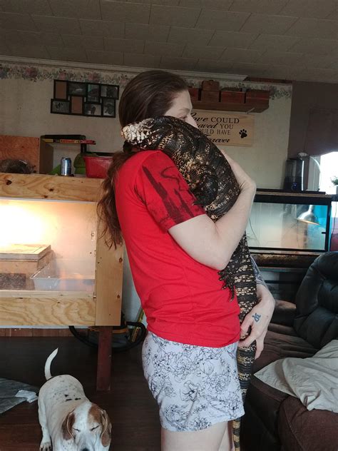 351 Best R Tegu Images On Pholder Hugs