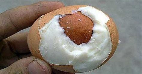 Mutant Egg Imgur