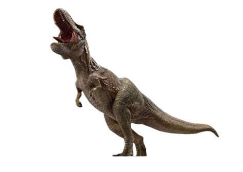 Rexy Jurassic World Png 4 By Jakeysamra On Deviantart