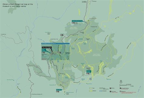 Sequoia National Park Map Fresno Exit Reisen