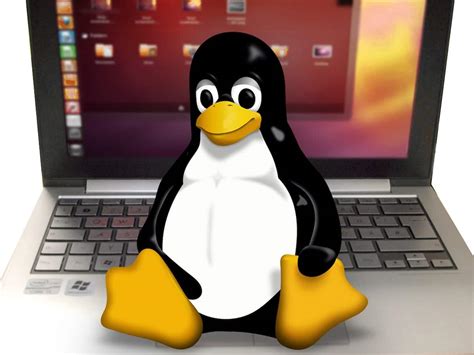 Pack Linux Impact Pc 2b