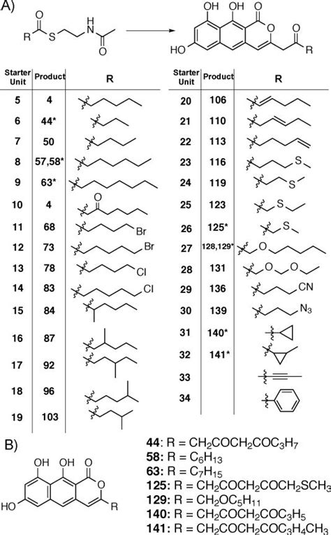 Starter Unit Flexibility For Engineered Product Synthesis By The Non