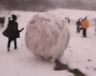 Amassed Insights 2 Snowballed