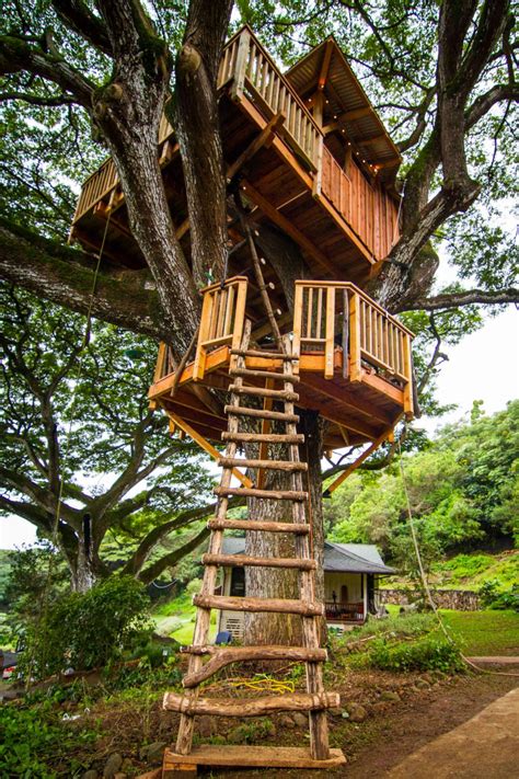 Explore Three Incredible Treehouses The Treehouse Guys DIY