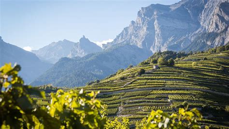 Office Du Tourisme De Chamoson Switzerland Hours Address Tripadvisor
