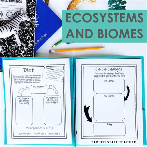 Biome Or Ecosystem Shoebox Project Worksheets Library
