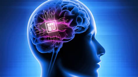 Would You Put A Brain Chip In Your Brain — Acer Corner