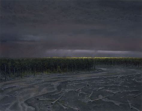 Douglas Henderson Triassic Period Petrified Forest National Park