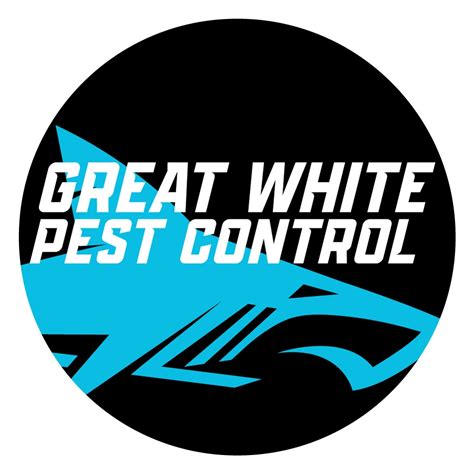 Shield Pest Defense Signs You Might Have A Mouse Or Rodent Problem Droppings Along Walls