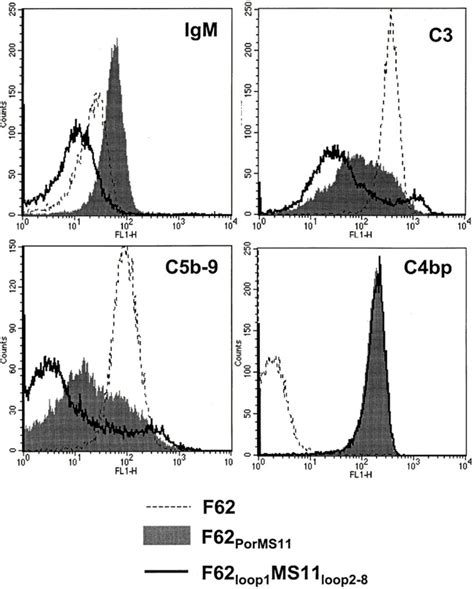 Enhanced Igm Binding To F62porms11 Por Influences Igm Binding To