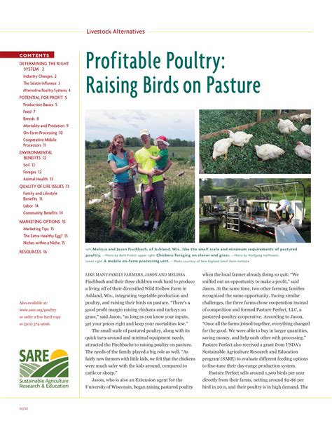 Poultry Processing Sare