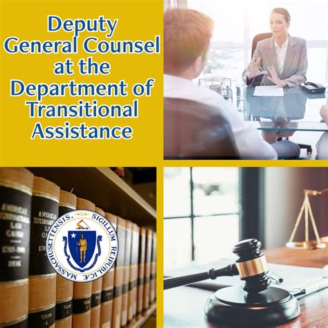 The Department Of Transitional Assistance Dta Is Actively Seeking A