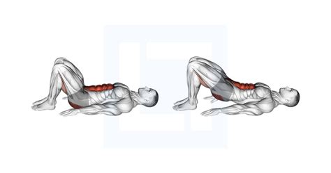 Weighted Squat Guide Benefits And Form