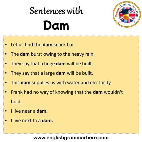 Sentences With Affect Affect In A Sentence In English Sentences For