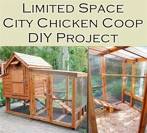 Limited Space City Chicken Coop DIY Project The Homestead Survival