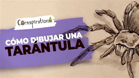 Cómo Dibujar Una Tarántula 🕸 Paso A Paso Dibujo Arte Tutorial Youtube