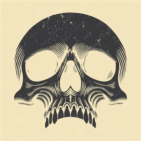 Premium Vector Skull And Bones Vector