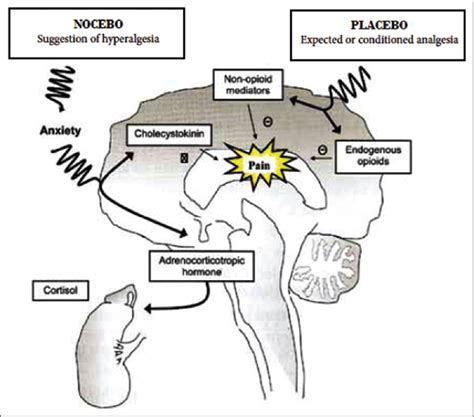 Nocebo Effect In Dermatology Indian Journal Of Dermatology