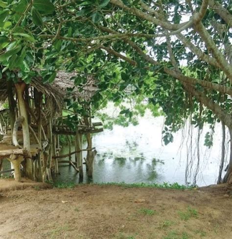 Agro Technology Park Bata Atha Farm In Hambantota Sri Lanka