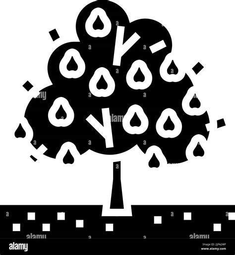 Tree Pear Glyph Icon Vector Illustration Stock Vector Image And Art Alamy