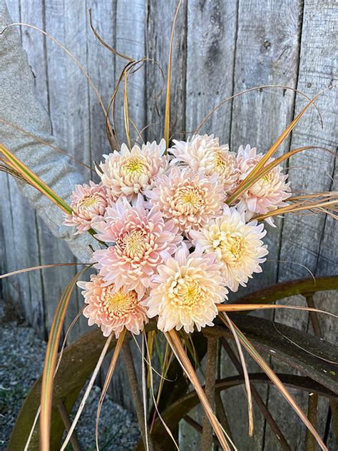Chrysanthemum Wedding Flowers