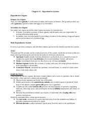 Chapter 23 Reproductive Systems Docx Chapter 23 Reproductive Systems Reproductive Organs
