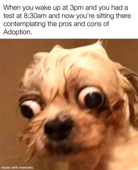 Ngl True Story Scrolller