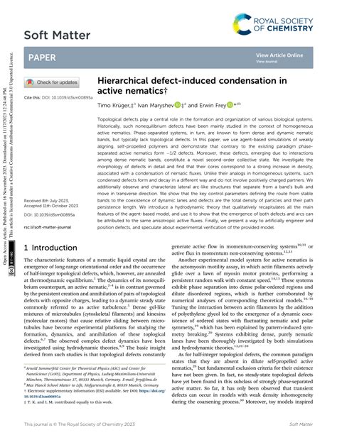 Pdf Hierarchical Defect Induced Condensation In Active Nematics
