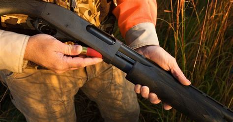 16 Gauge Vs 12 Gauge Whats The Difference Eatingthewild Com