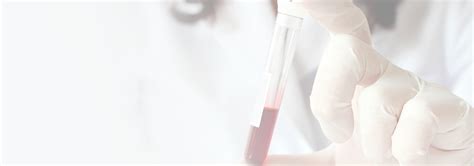 Lifotronic Technology Co Ltd