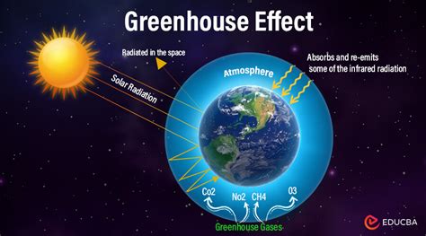 Essay On Greenhouse Effect For Students And Professional