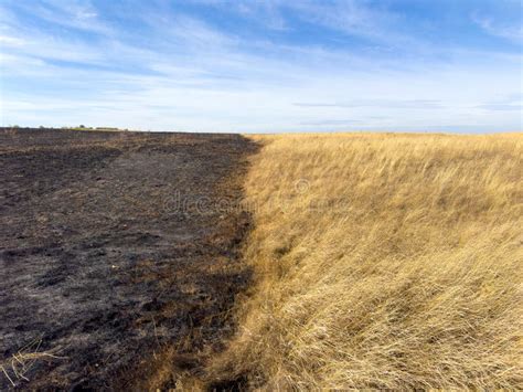 Dry Grass Fire Hazards Summer Fires Stock Image Image Of Wildfire