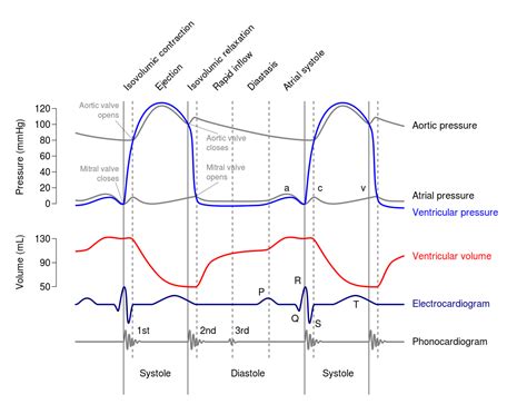 19 6 Electricity In The World Physics Libretexts
