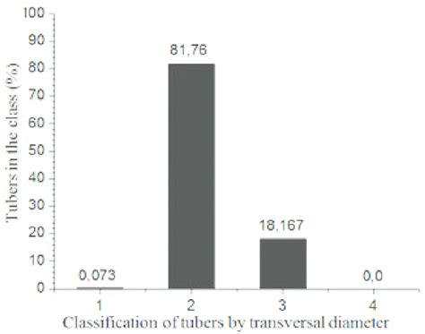 Classification Of Potato Tubers Grown In Different Spacing Between
